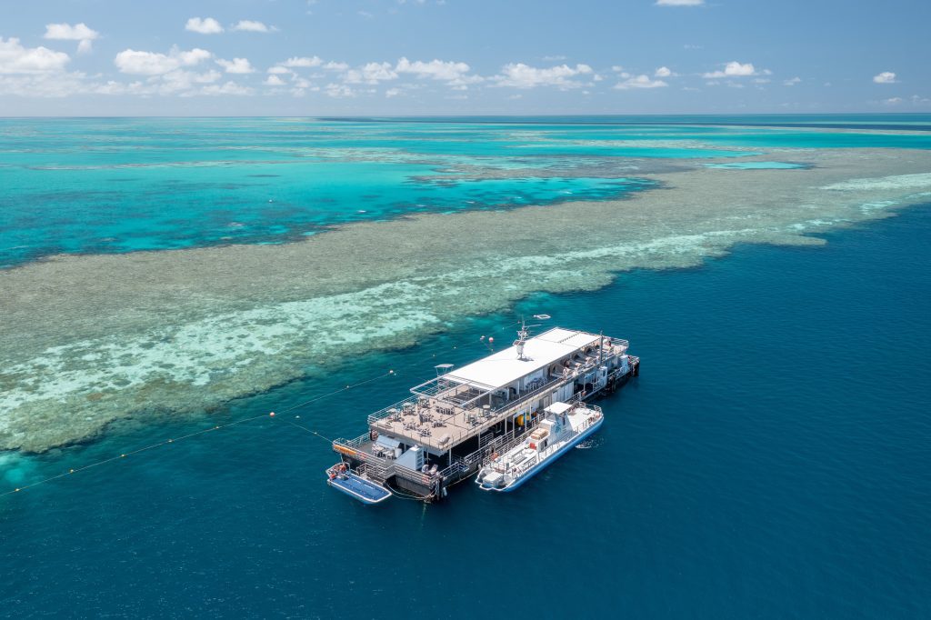 Home | Great Barrier Reef Festival