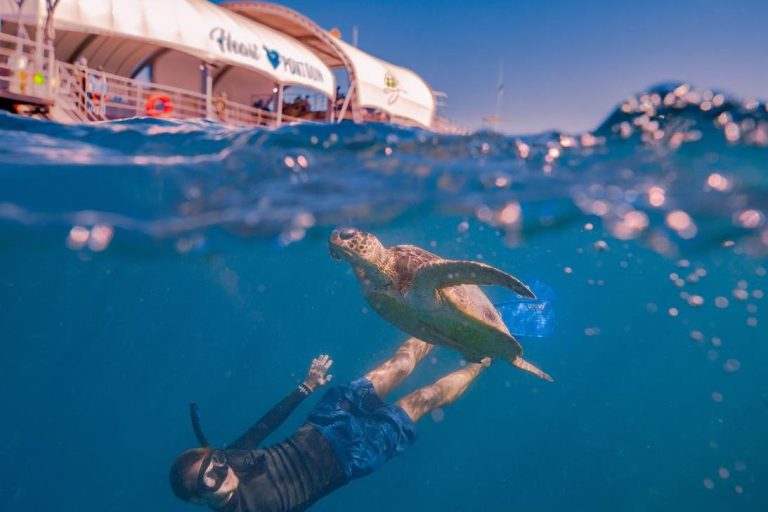 Home | Great Barrier Reef Festival